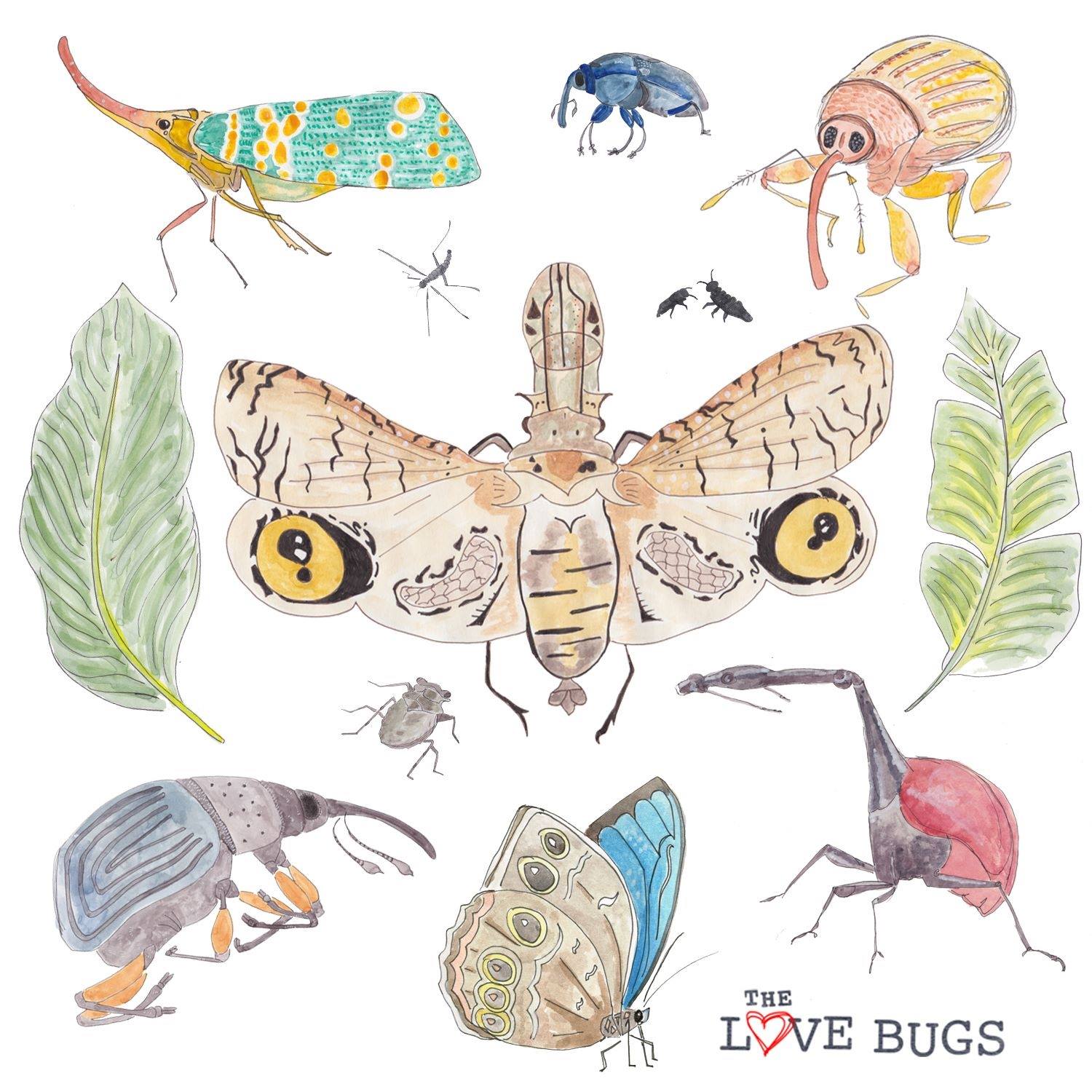 The Love Bugs with Special Q&A | New York Wild Film Festival
